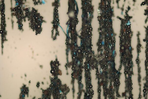 Spherical Particles and Bearing Wear - Fluid Life