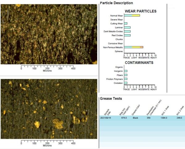 Grease Analysis: Excessive Contamination - Fluid Life
